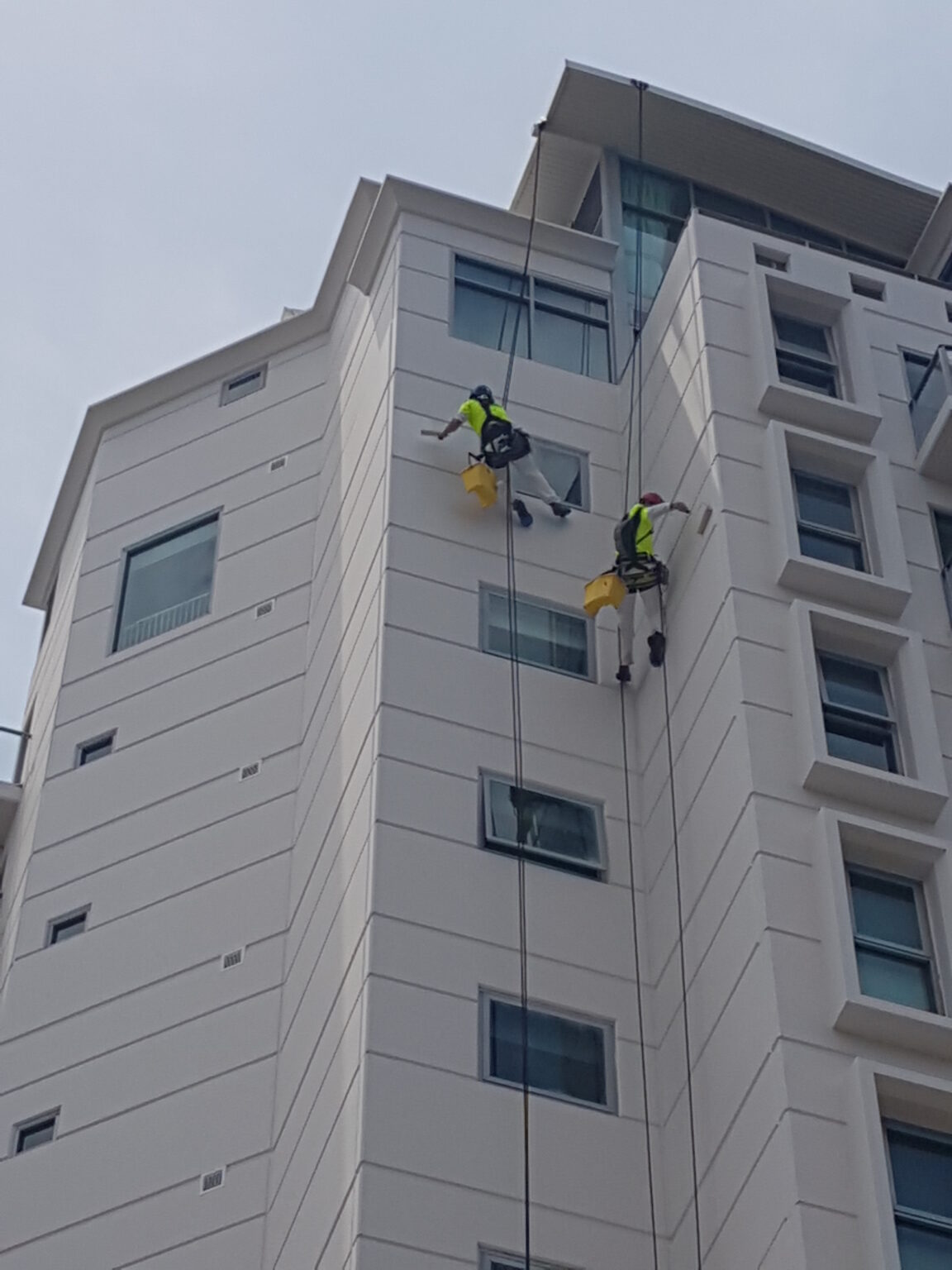 Programmed Property Services Western Australia - Perth Office ...